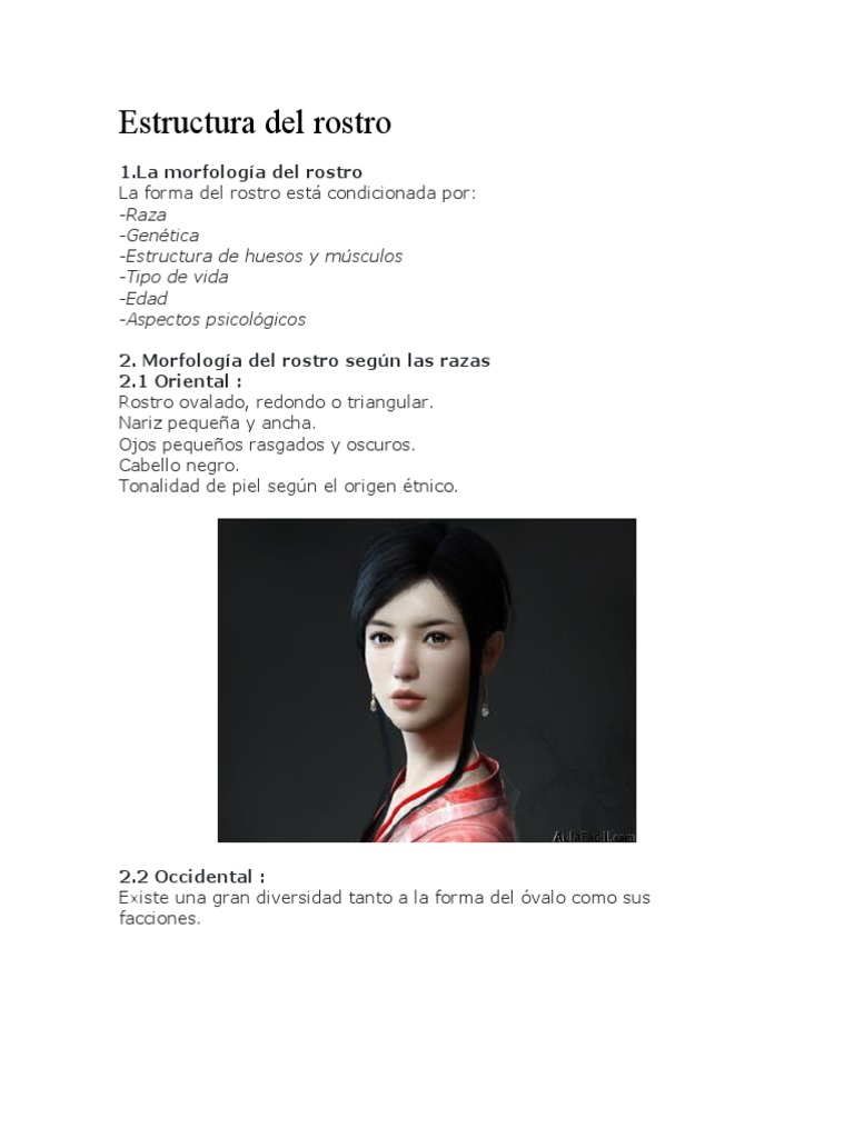 Estructura Del Rostro | PDF