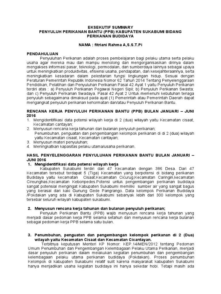 Eksekutif Summary | PDF