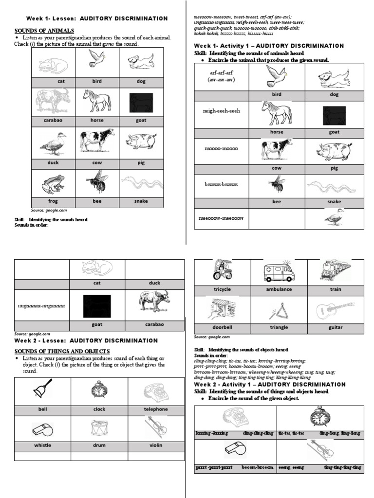 Auditory Discrimination Activities | PDF | Nervous System | Mental ...