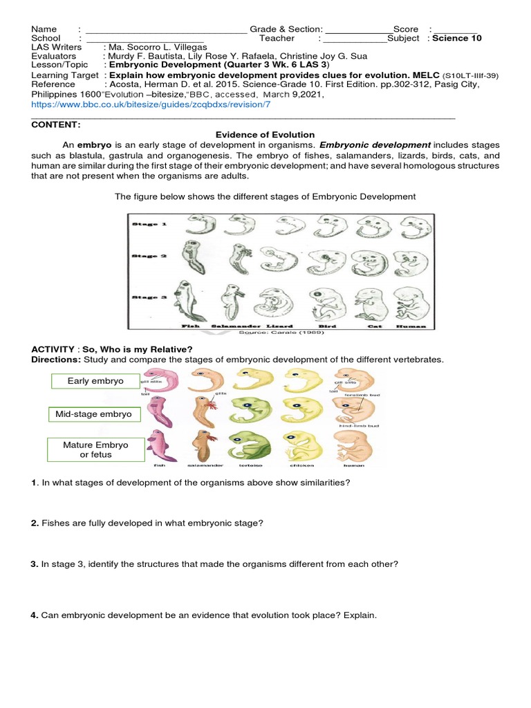 Science 10 Quarter 3 Week 6 Las 3 | PDF