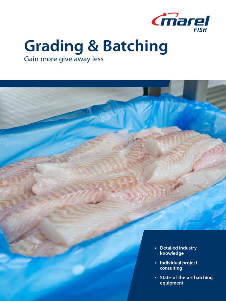 Marel Fish Grading and Batching | PDF | Enterprise Resource Planning | Computer Engineering