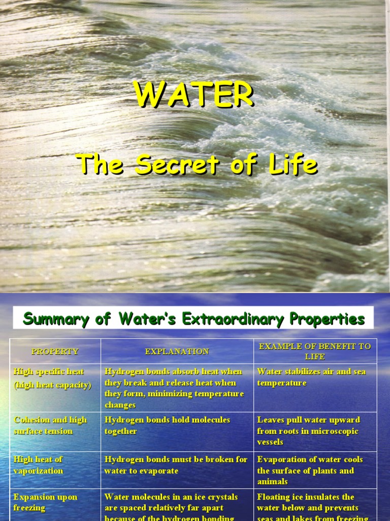 WATER - The Secret of Life | PDF | Properties Of Water | Oceans