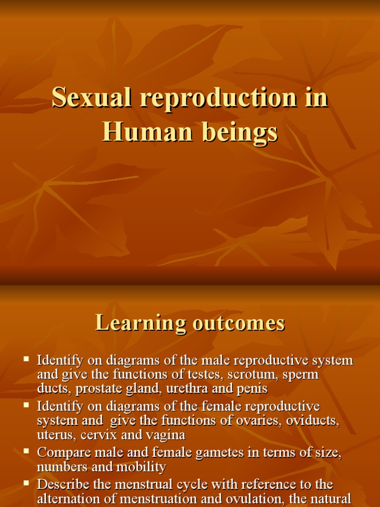 Sexual Reproduction in Human Beings (Part 1) | PDF | Reproductive ...