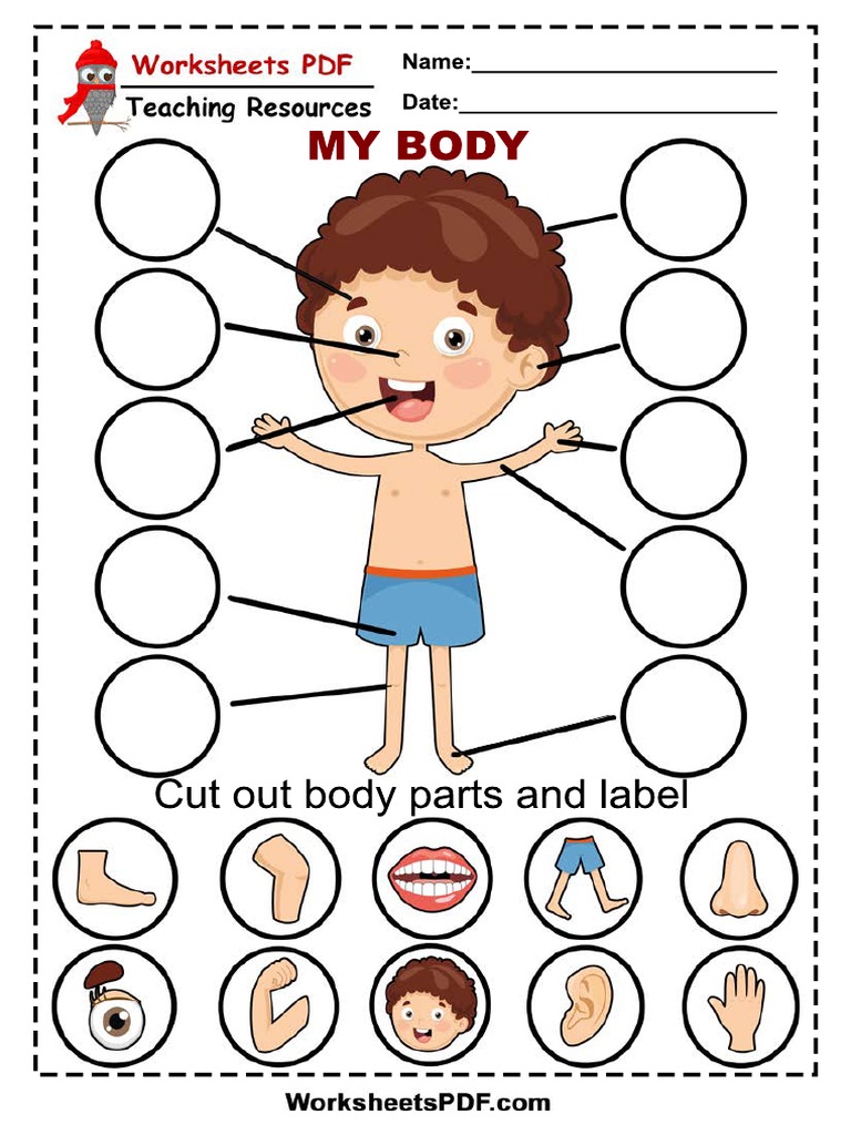Cut Out Body Parts | PDF