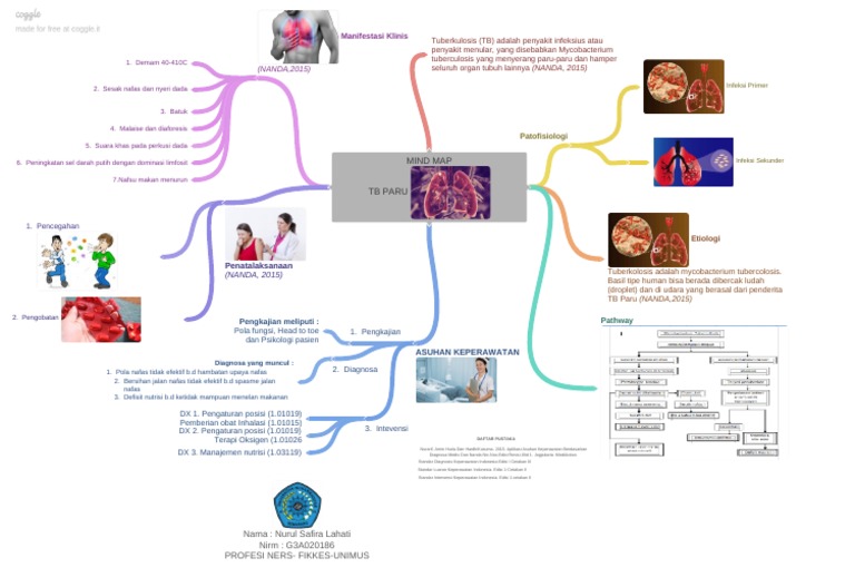 Mind MAP TB PARU | PDF