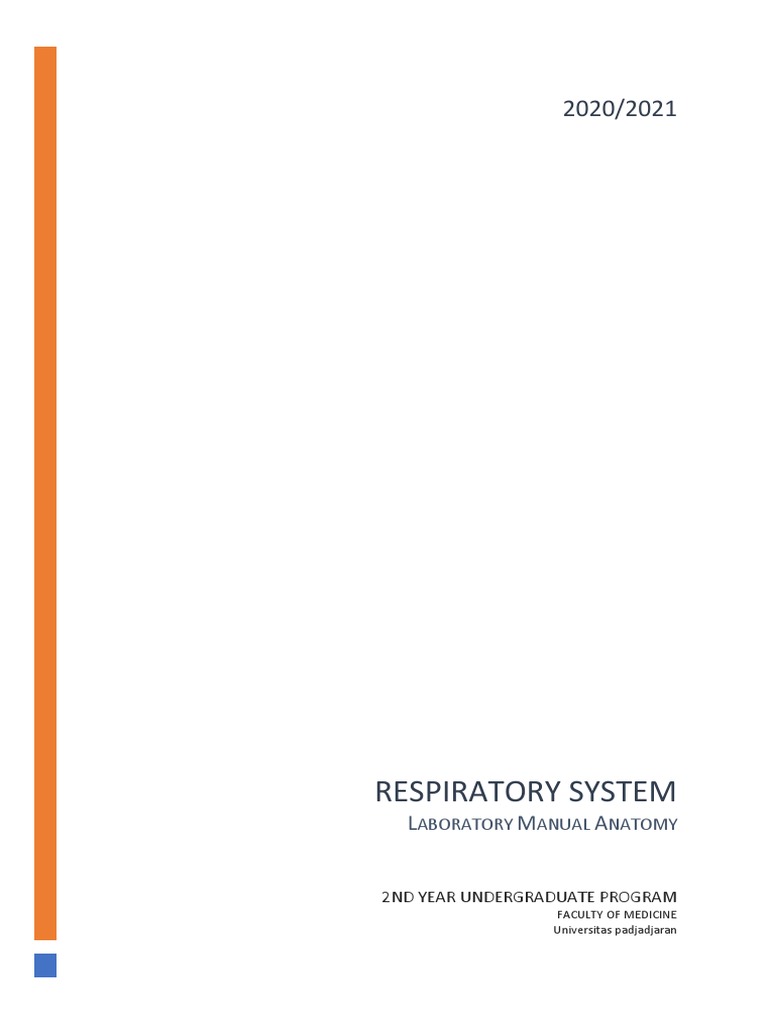Upper Respiratory Anatomy Manual | PDF | Human Nose | Respiratory Tract