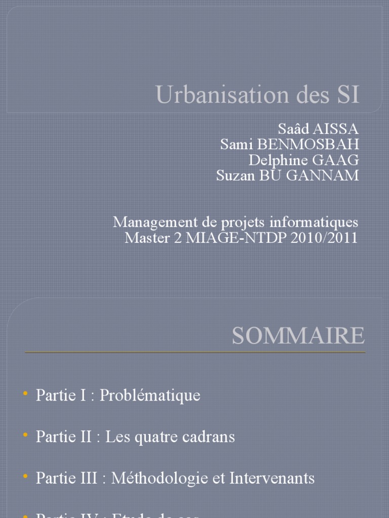 Urbanisation Des SI | PDF | Urbanisme | Processus d'affaires