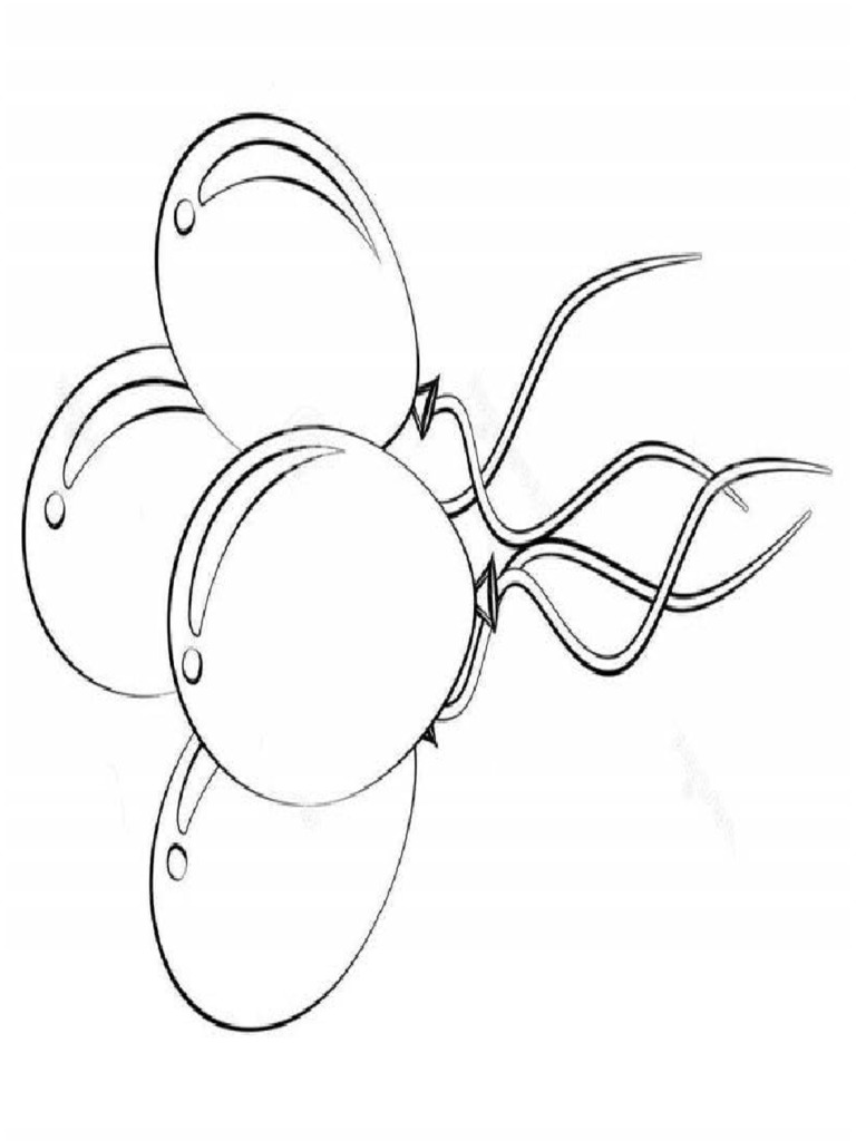 Planse de Colorat | PDF