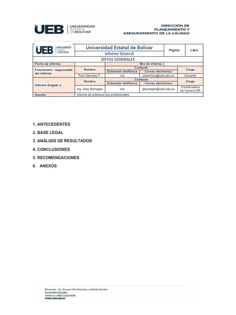 Informe Formato | PDF