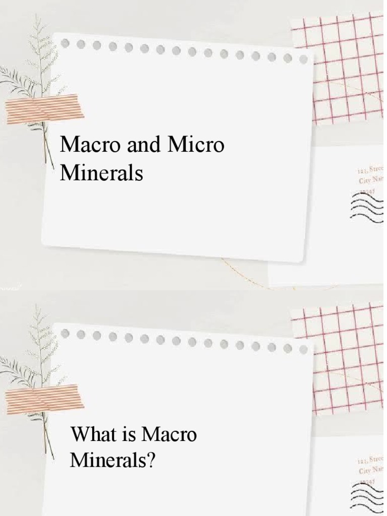Overview of Macro and Micro Minerals | PDF | Nutrients | Salt