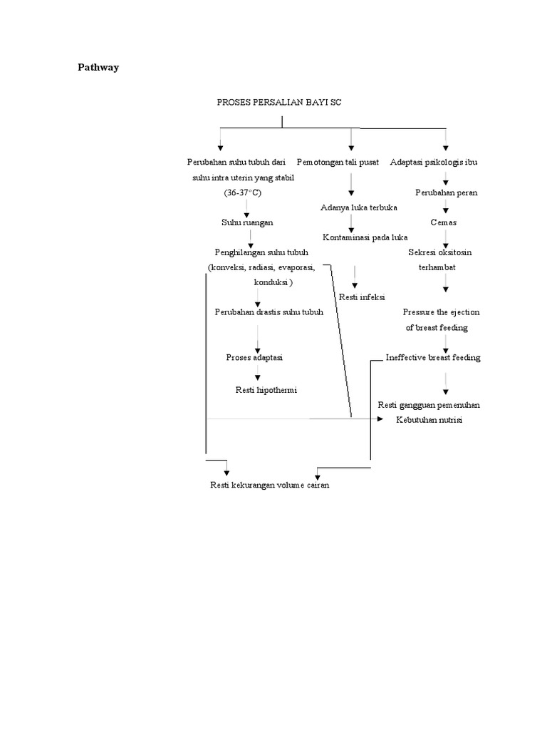 Pathway BBL SC | PDF