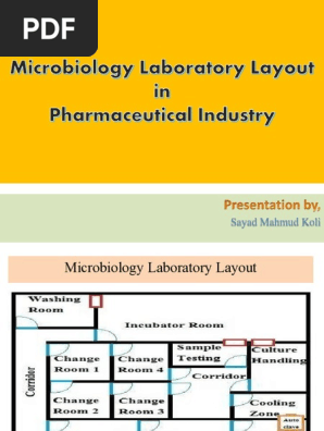 Microbiology Lab Layout Design