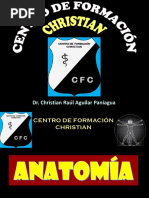 Esqueleto Fibroso del Corazón: Funciones y Estructura | PDF | Corazón ...