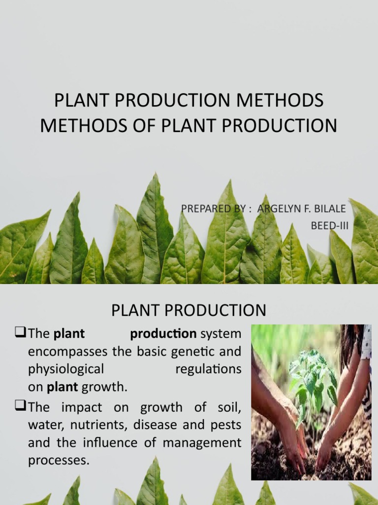 Plant Production Methods Methods of Plant Production: Prepared By ...