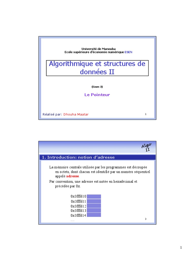 Les Pointeurs | PDF | Pointeur (programmation) | Variable (informatique)