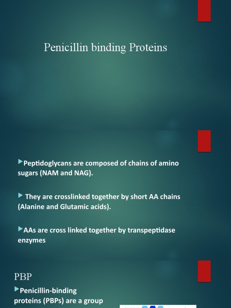 Penicillin Binding Protein | PDF | Science & Mathematics