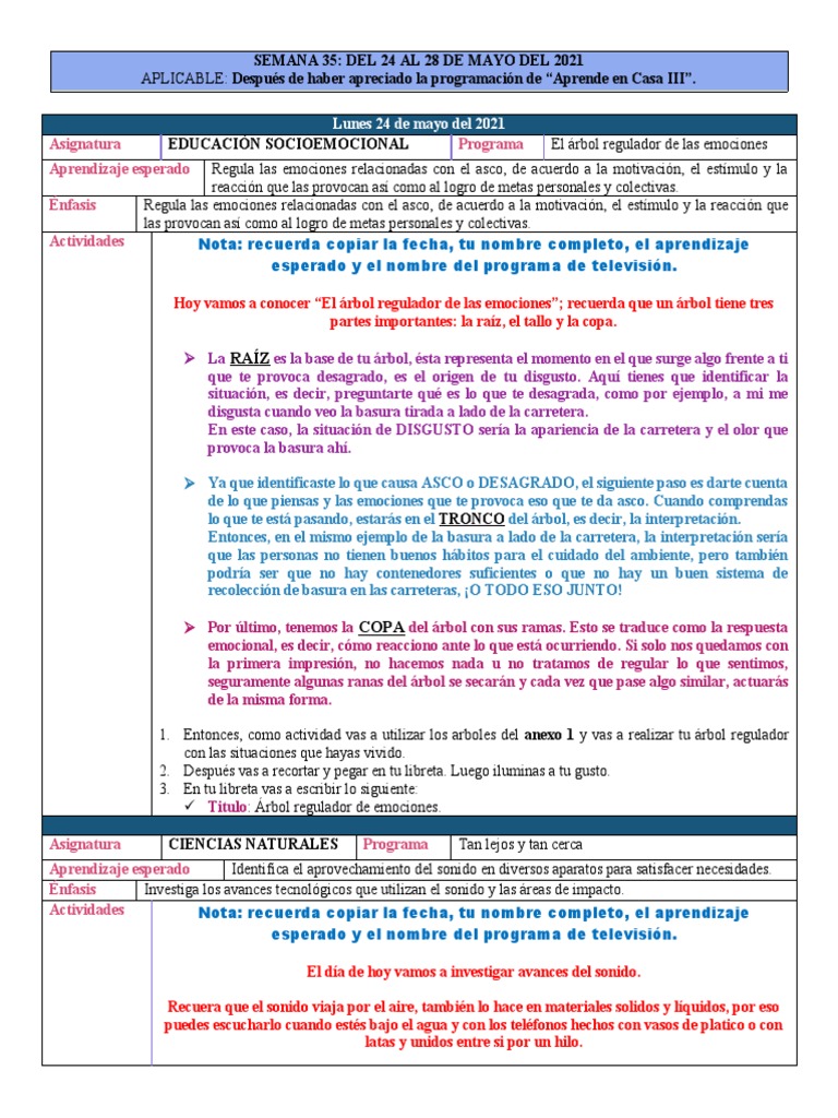 ?miss Dani S35 Plan 24-28mayo21 | PDF