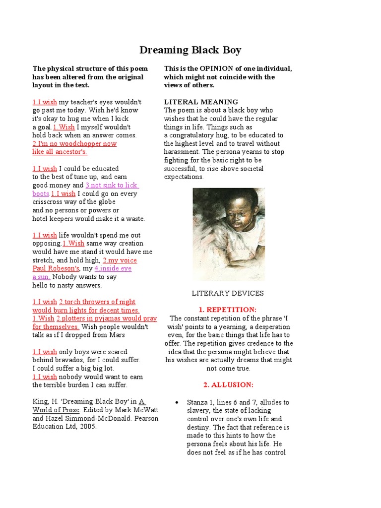 Dreaming Black Boy Notes | PDF