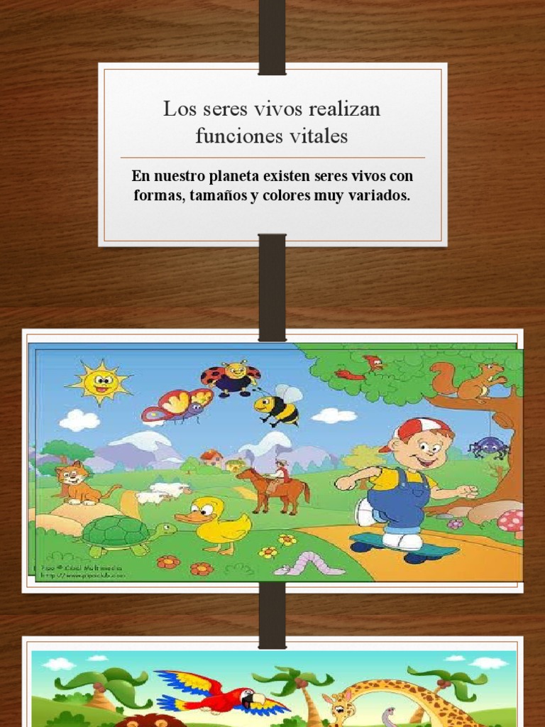 Funciones Vitales de los Seres Vivos | PDF | Ciencia y matemáticas