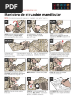 Protocolo MARCH TASTICO | PDF