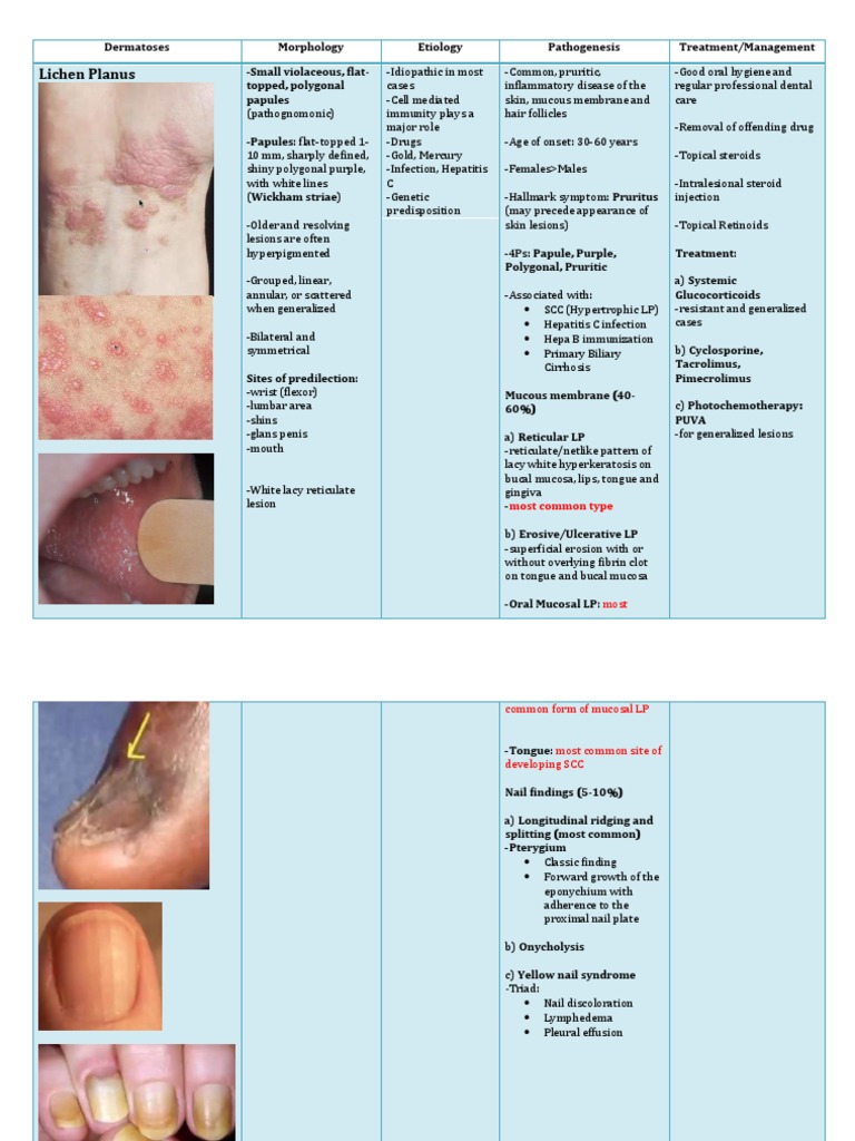 Lichen Planus, Nitidus, Striatus, Sclerosus (Dr. Cruz) | PDF | Cutaneous Conditions | Medical ...