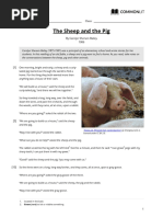 Belling The Cat 6 | PDF | Learning To Read | Reading Comprehension