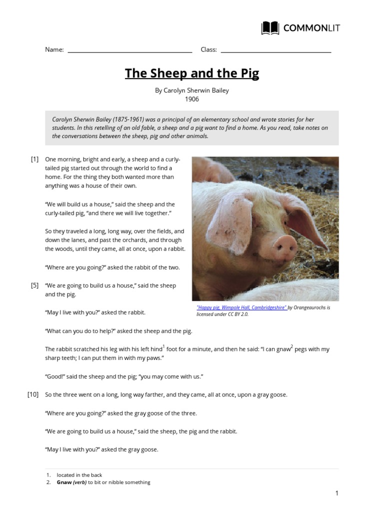 The Sheep and The Pig-Teacher 1 | PDF