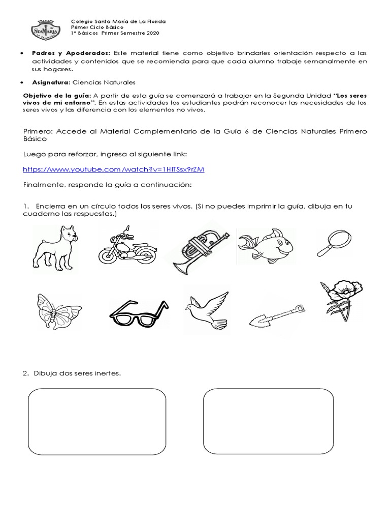 Hojas De Trabajo De Ciencias Primero