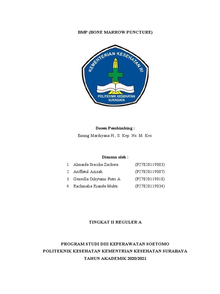 Prosedur dan Indikasi BMP Sumsum Tulang | PDF