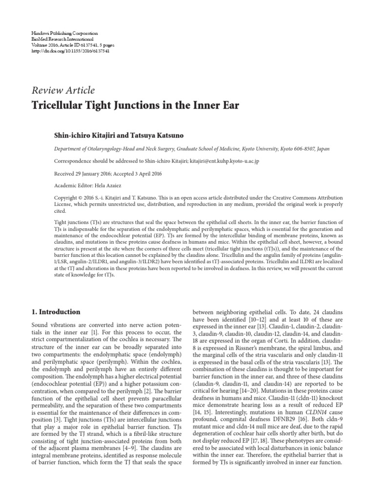 2° Tricellular Tight Junctions in The Inner Ear Review Article Ya ...