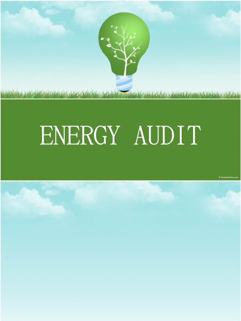 ENERGY AUDIT