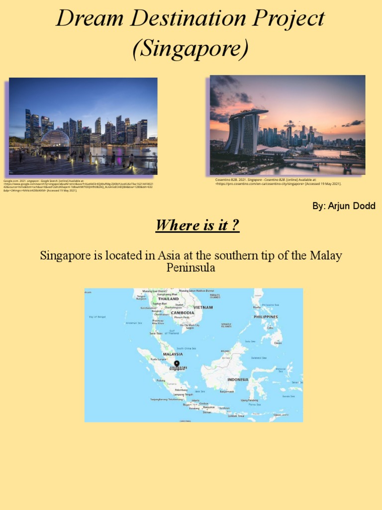 Dream Destination Project Singapore | PDF | Violence | Unrest