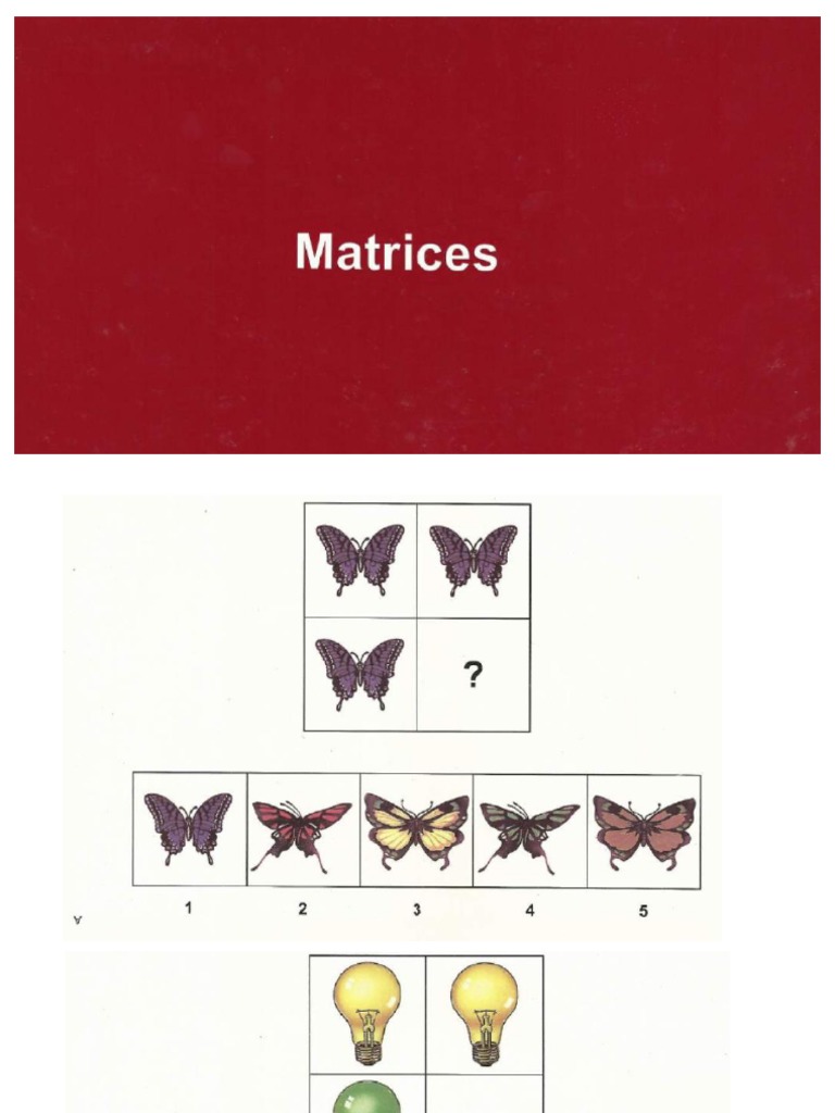 WISC IV - Matrices | PDF