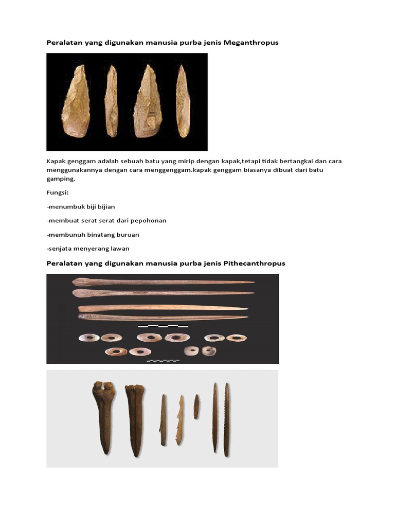Peralatan Yang Digunakan Manusia Purba Jenis Meganthropus | PDF