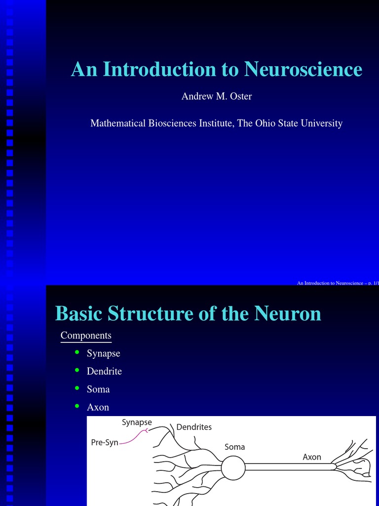 An Introduction To Neuroscience: Andrew M. Oster Mathematical ...
