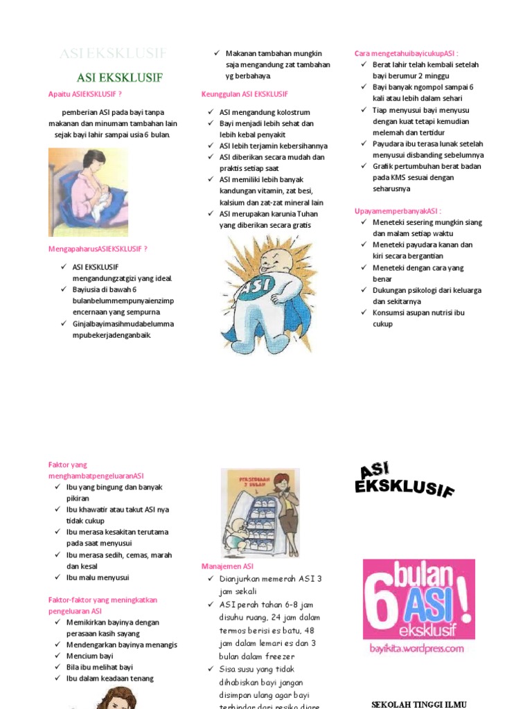 12 Leaflet Asi Eksklusif | PDF