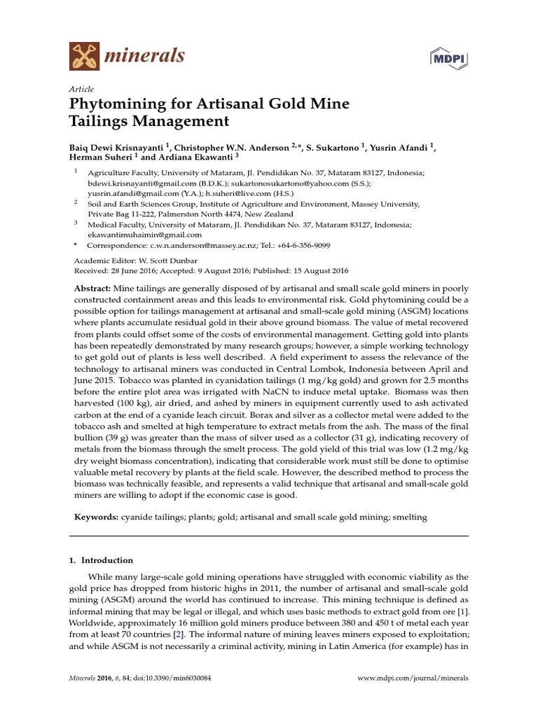 Phytomining For Artisanal Gold Mine Tailings Manag | PDF | Gold Mining ...
