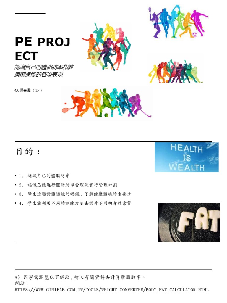 4115 PE Project | PDF