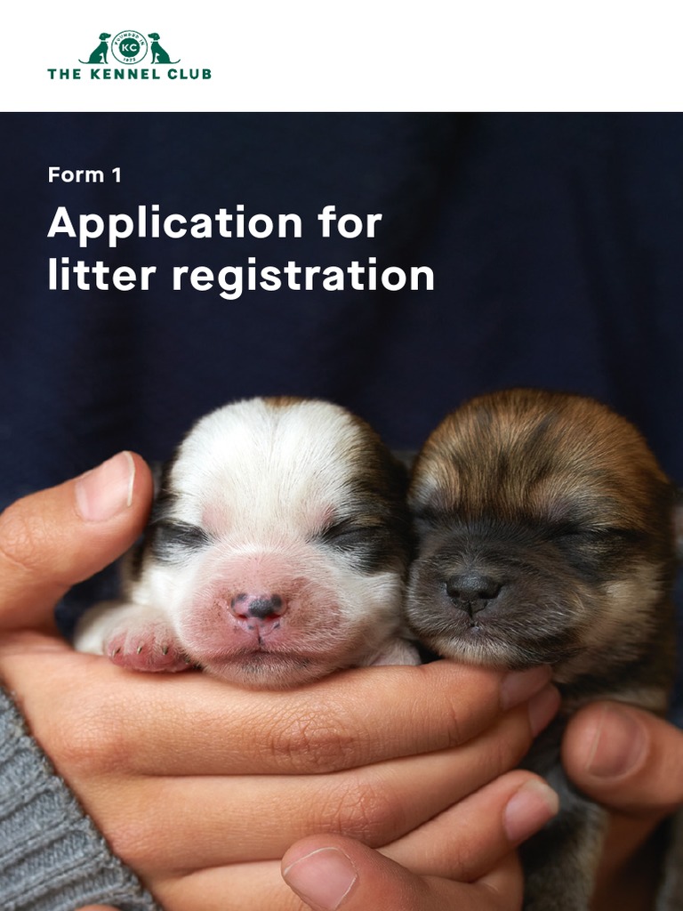 Application For Litter Registration: Form 1 | PDF | Dog Breeding ...