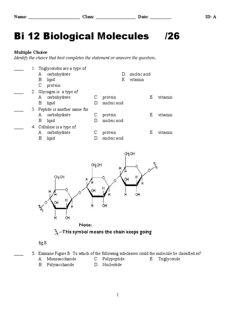 Biological Molecules Quiz | PDF | Lipid | Carbohydrates