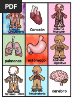 LOS SITEMAS DEL CUERPO HUMANO-CUADERNILLO DE ACTIVIDADES?Esemeralda Te ...