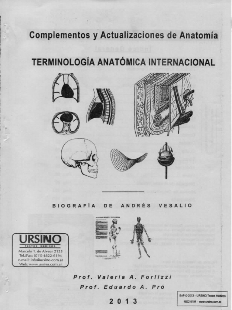 Apunte de Pró - Forlizzi | PDF | Tecnología