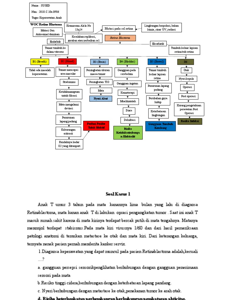 Tugas Kep Anak Lala Veronica | PDF