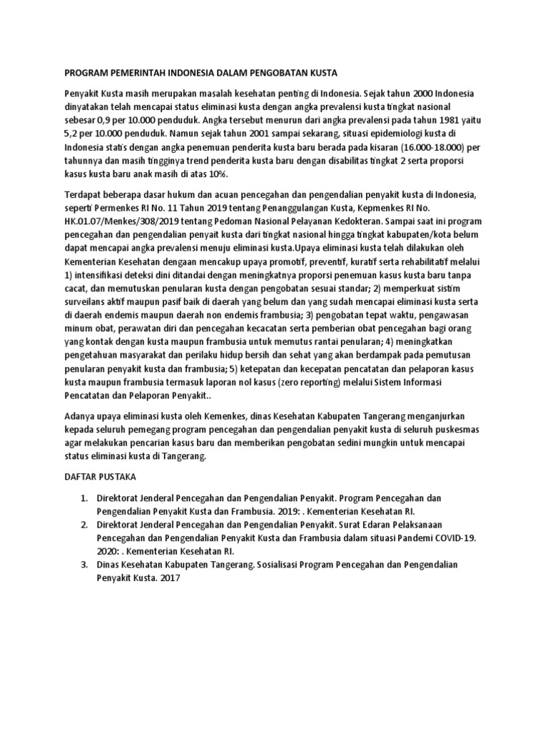 Program Eliminasi Kusta Indonesia | PDF
