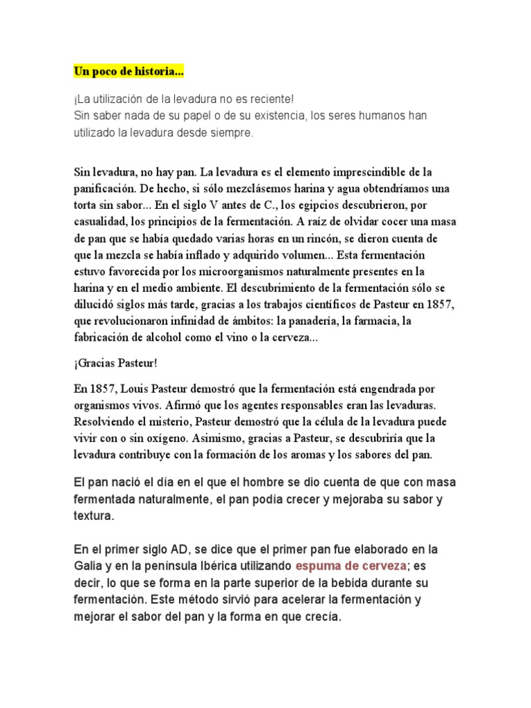 Historia Levadura Exposicion Pdf Levadura Panes