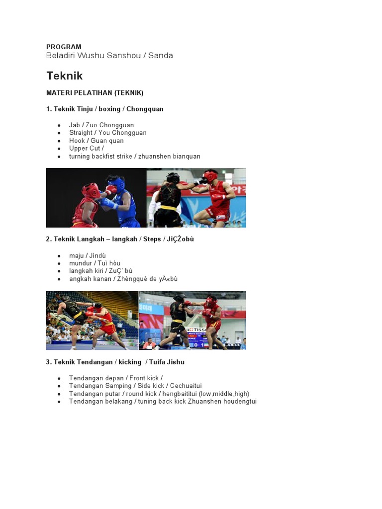 PROGRAM Wushu Sanda | PDF