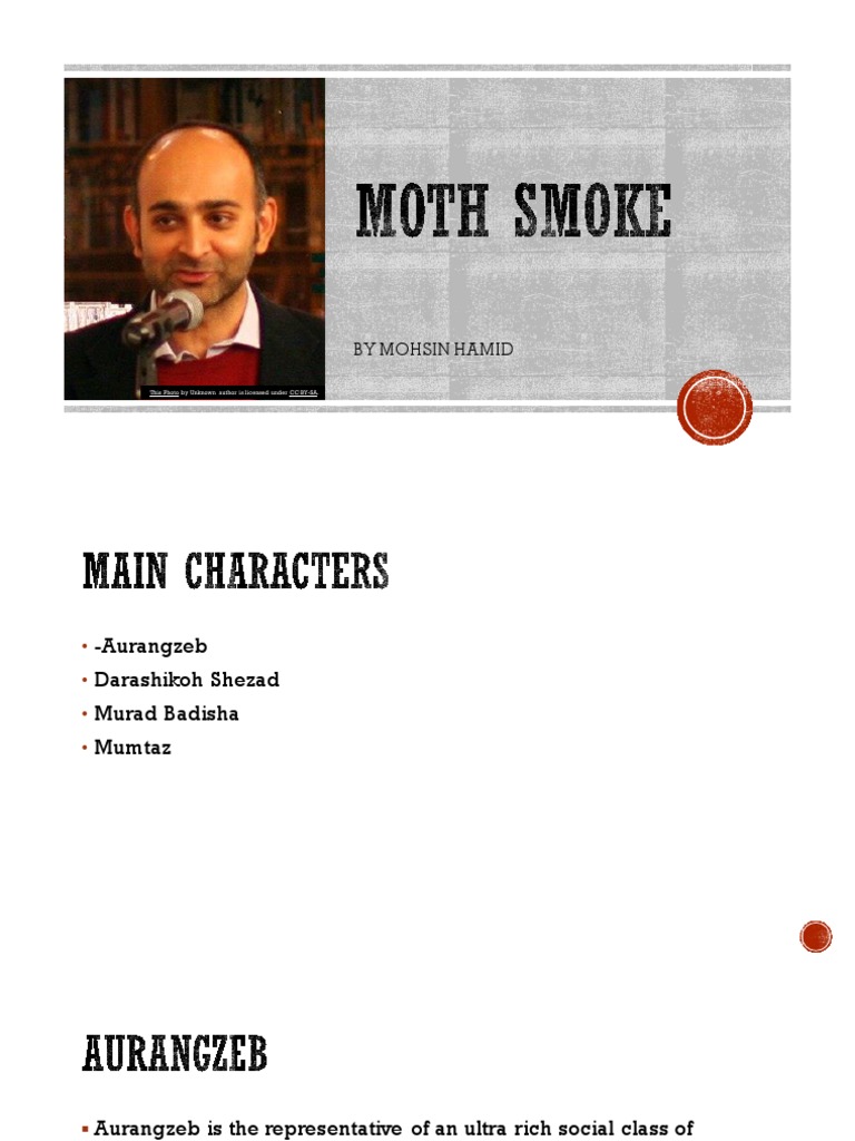 Presentation - Moth Smoke - Group 6 | PDF