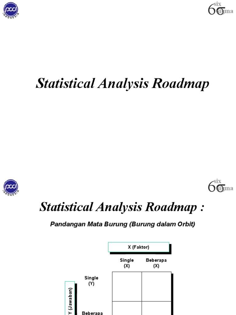 17 Statistical Analysis Roadmap | PDF