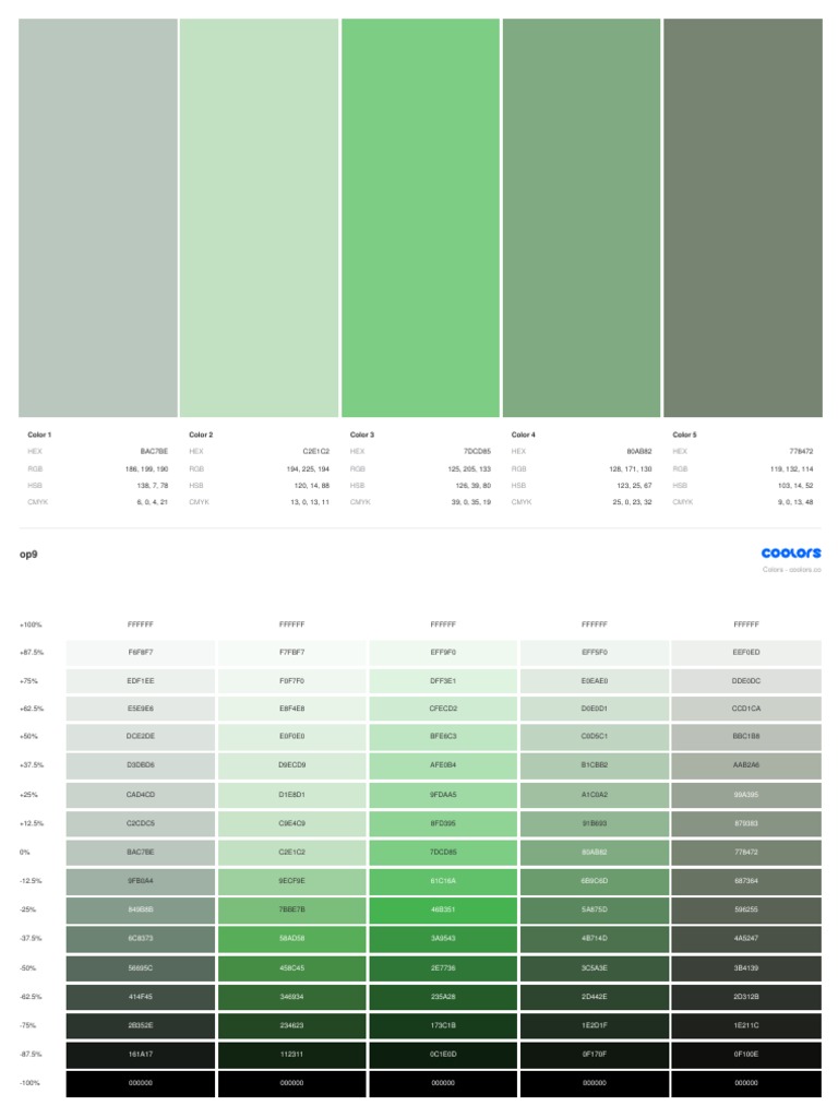 Color 1 Color 2 Color 3 Color 4 Color 5 | PDF | Rgb Color Model | Color