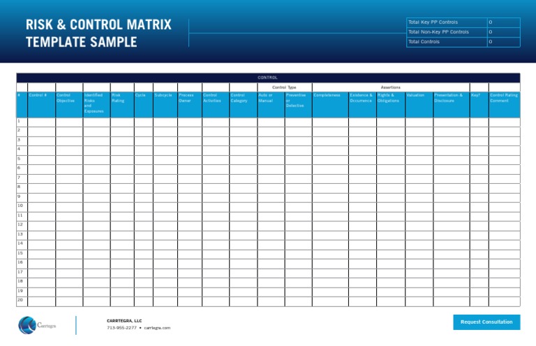 Risk & Control Matrix Template Sample: Total Key PP Controls 0 Total ...